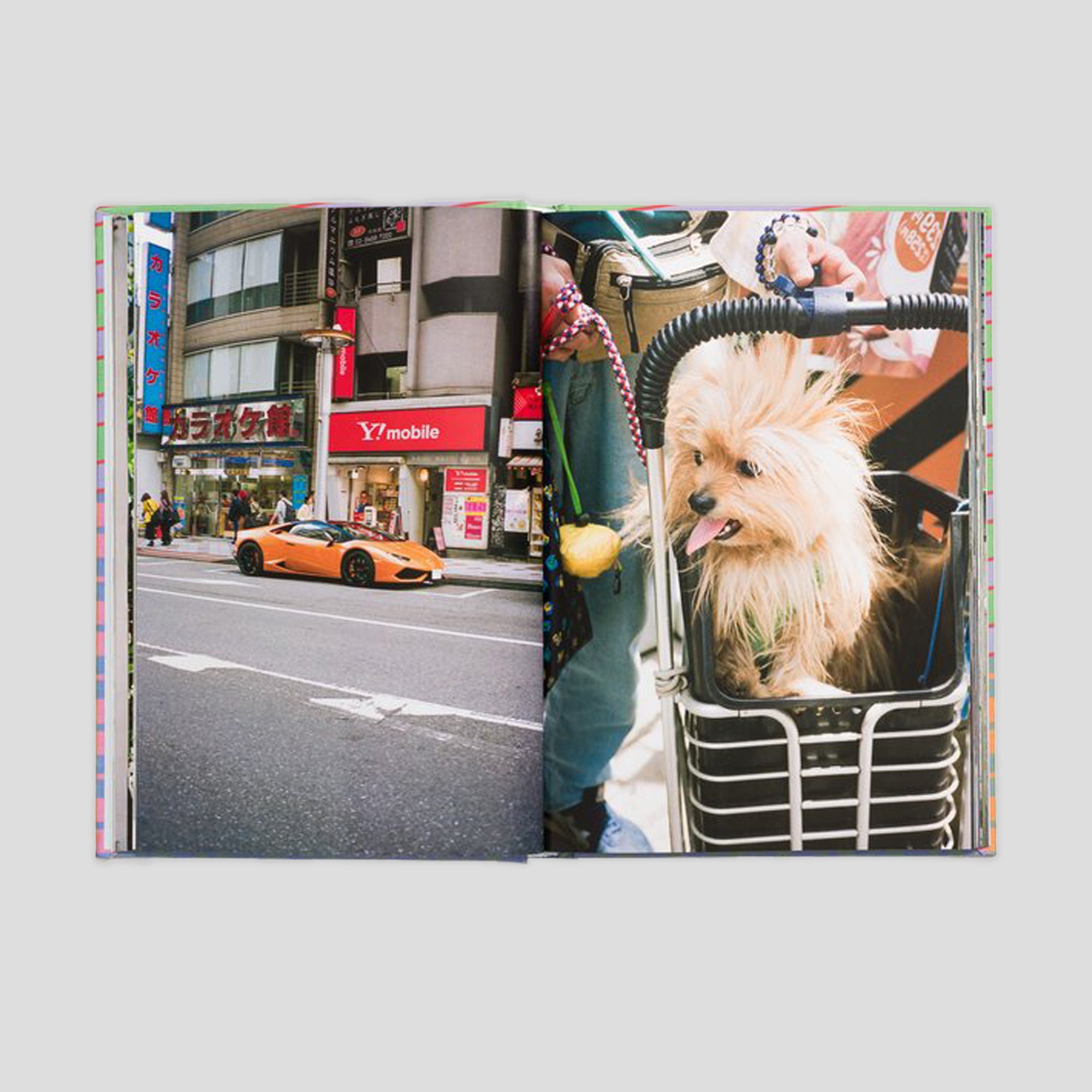 Dreams by Imogen Wilson – Pass~Port