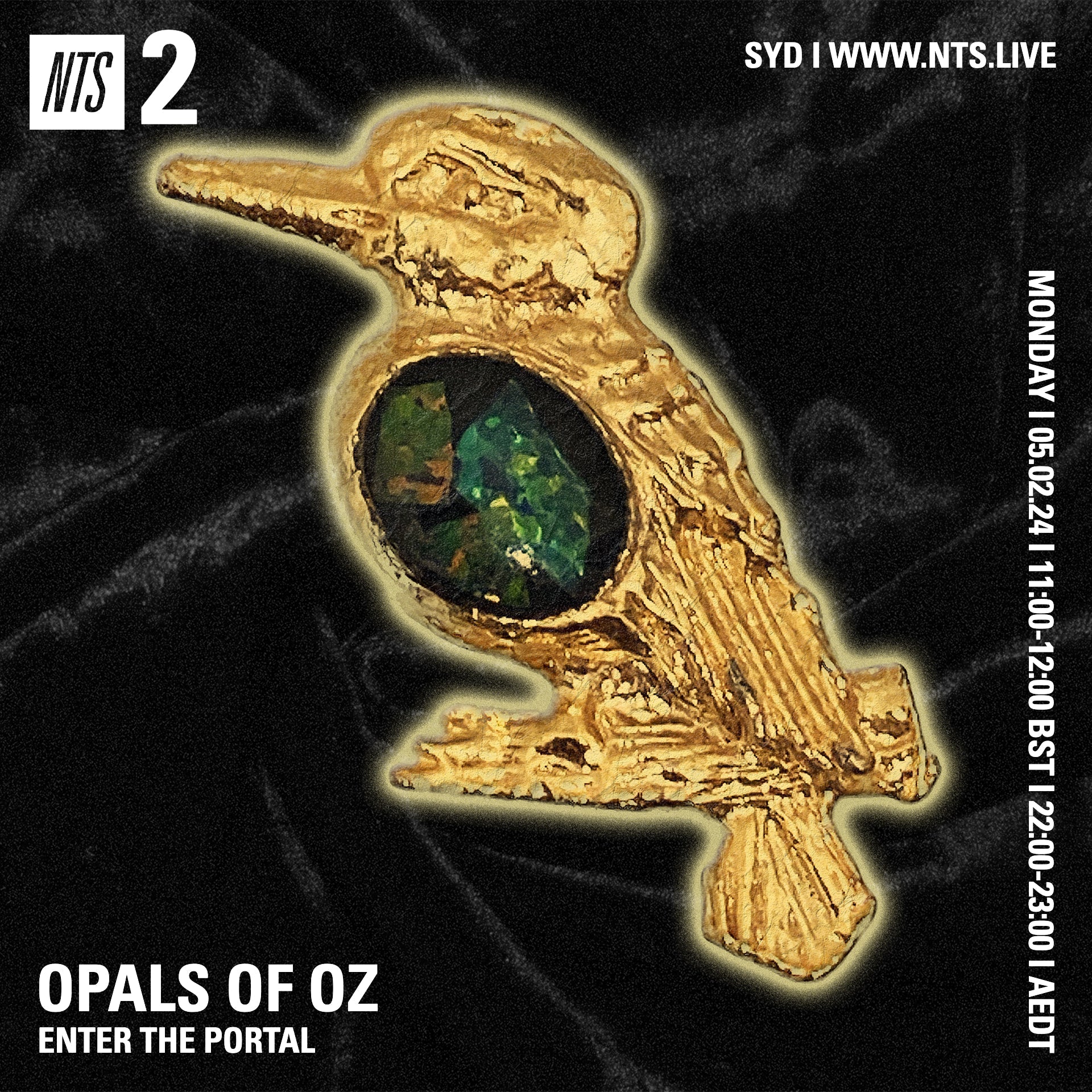 NTS ~ ENTER THE PORTAL MIX #8 – Pass~Port